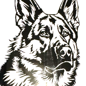 Freebird Decals | eBay Stores