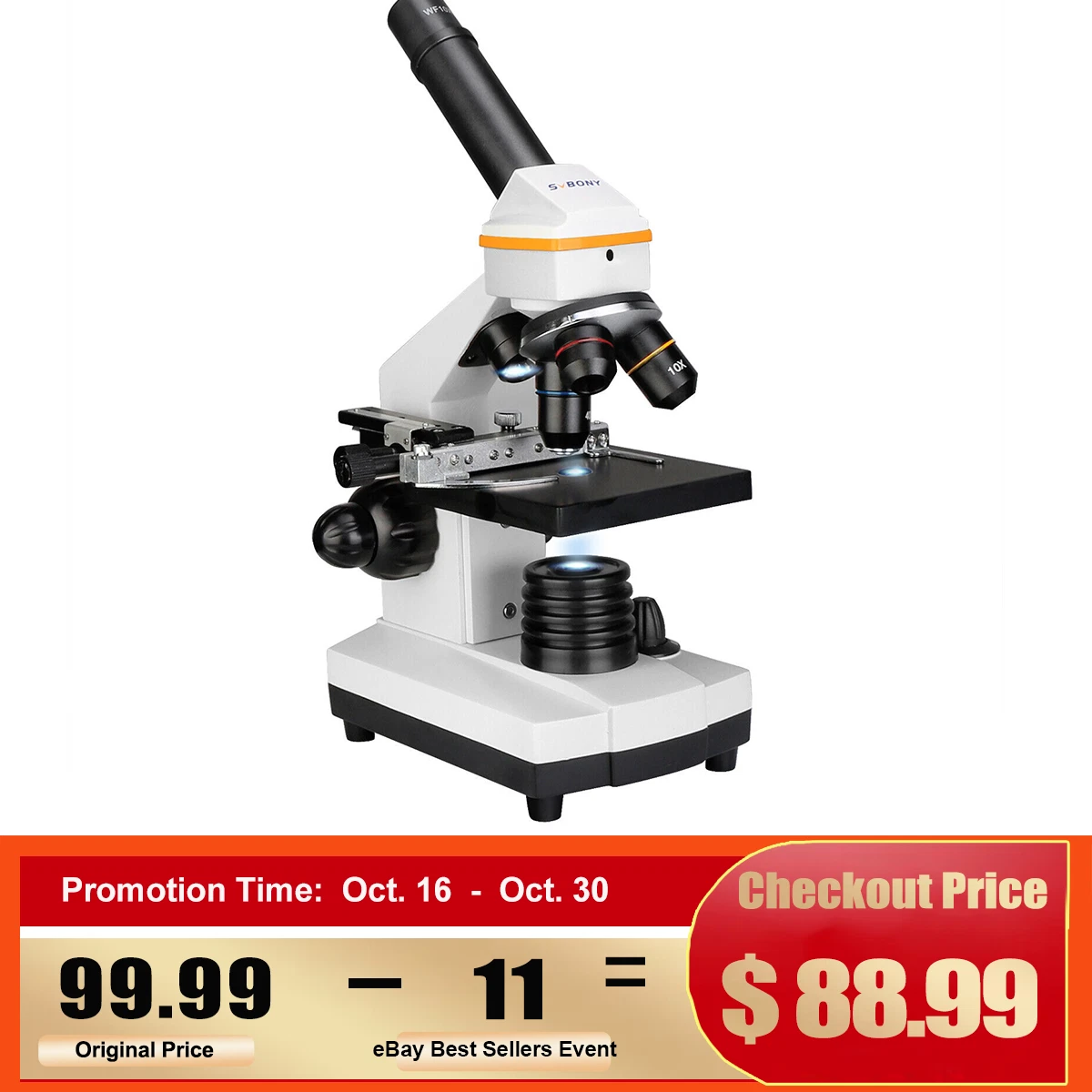 Compound Light Microscope Magnification