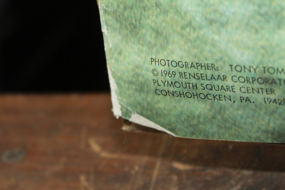 Vintage 1969 NFL Poster Mel Farr Detroit Lions 24" x 35-1/2" | eBay