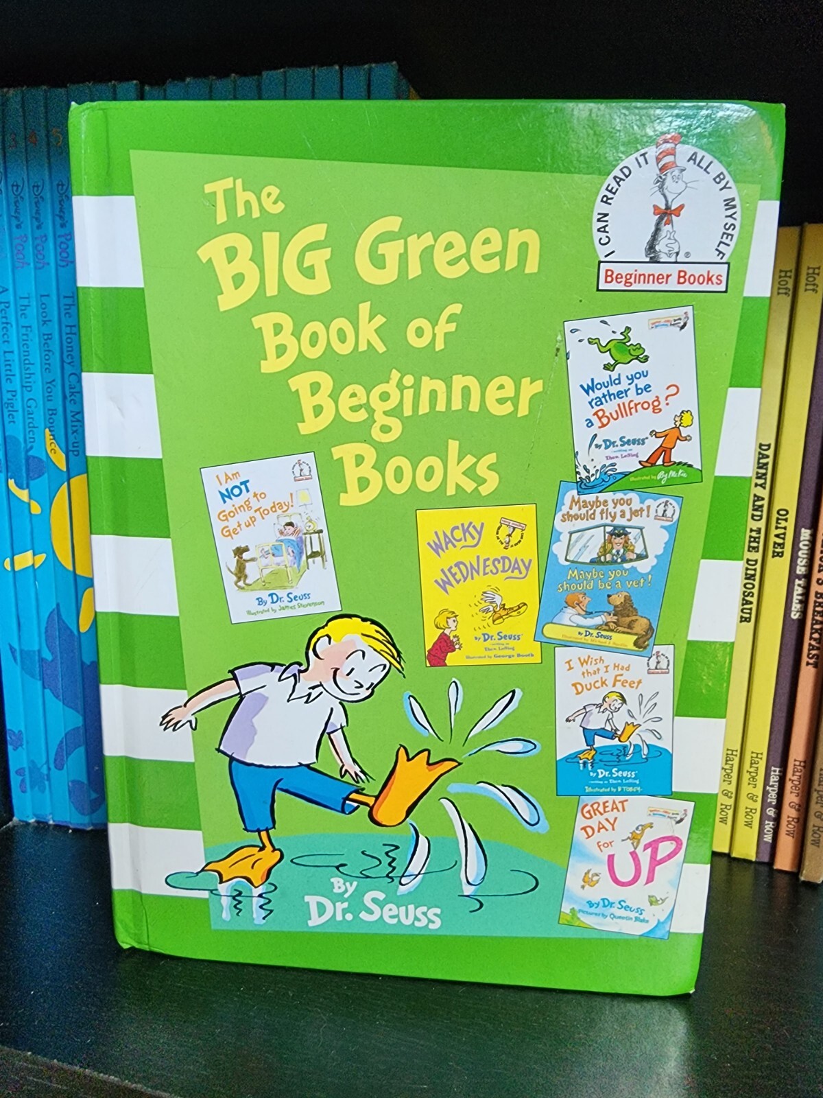 Beginner Books(R) Ser.: The Big Green Book of Beginner Books by Seuss ...