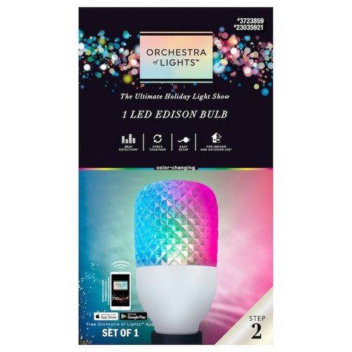 Orchestra of Lights LED Color Changing Edison Bulb | eBay
