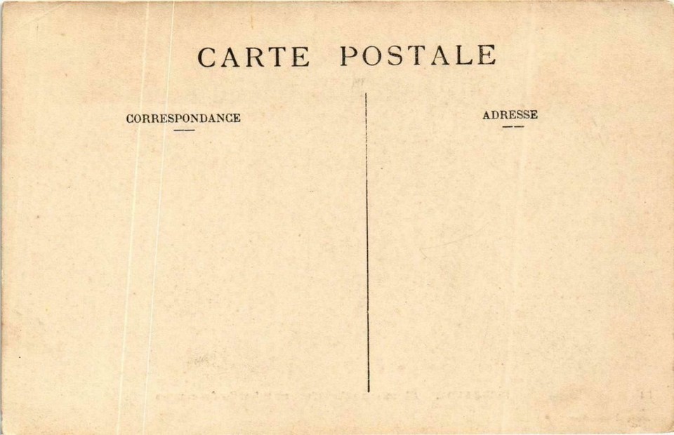 CPA ALGERIA Geiser 53 BOU-SAADA Chameaux palanquins sur le terrain ...