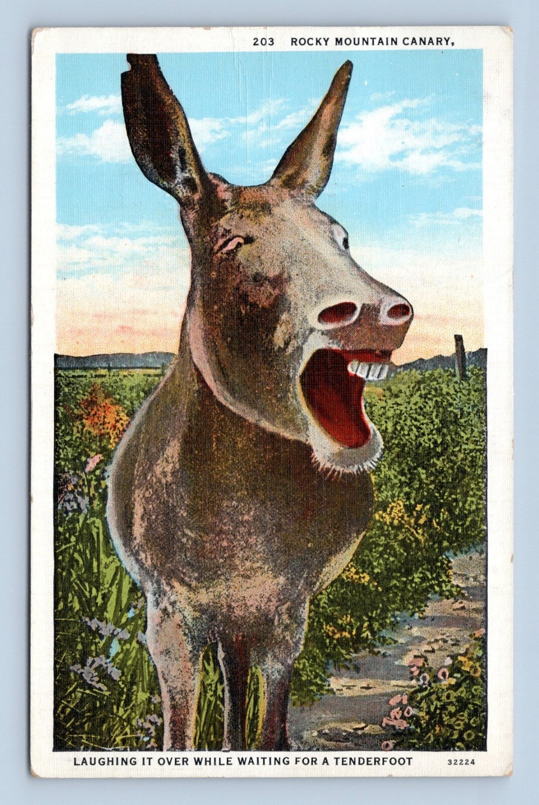 Laughing Mule