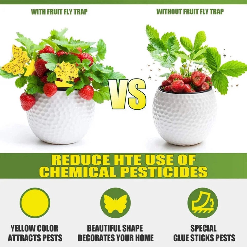 20PCS Yellow Sticky Fly Trap Paper Fruit Flies Insect Aphids Glue ...