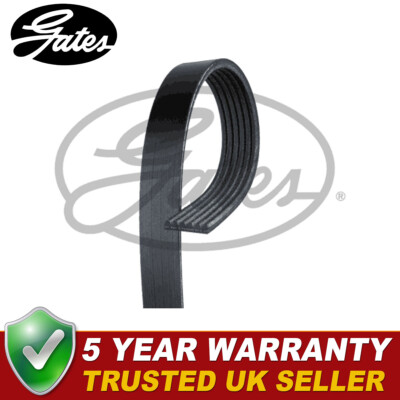 Gates V-Ribbed Belts Fits Mercedes Chrysler - 6PK2390 | eBay UK
