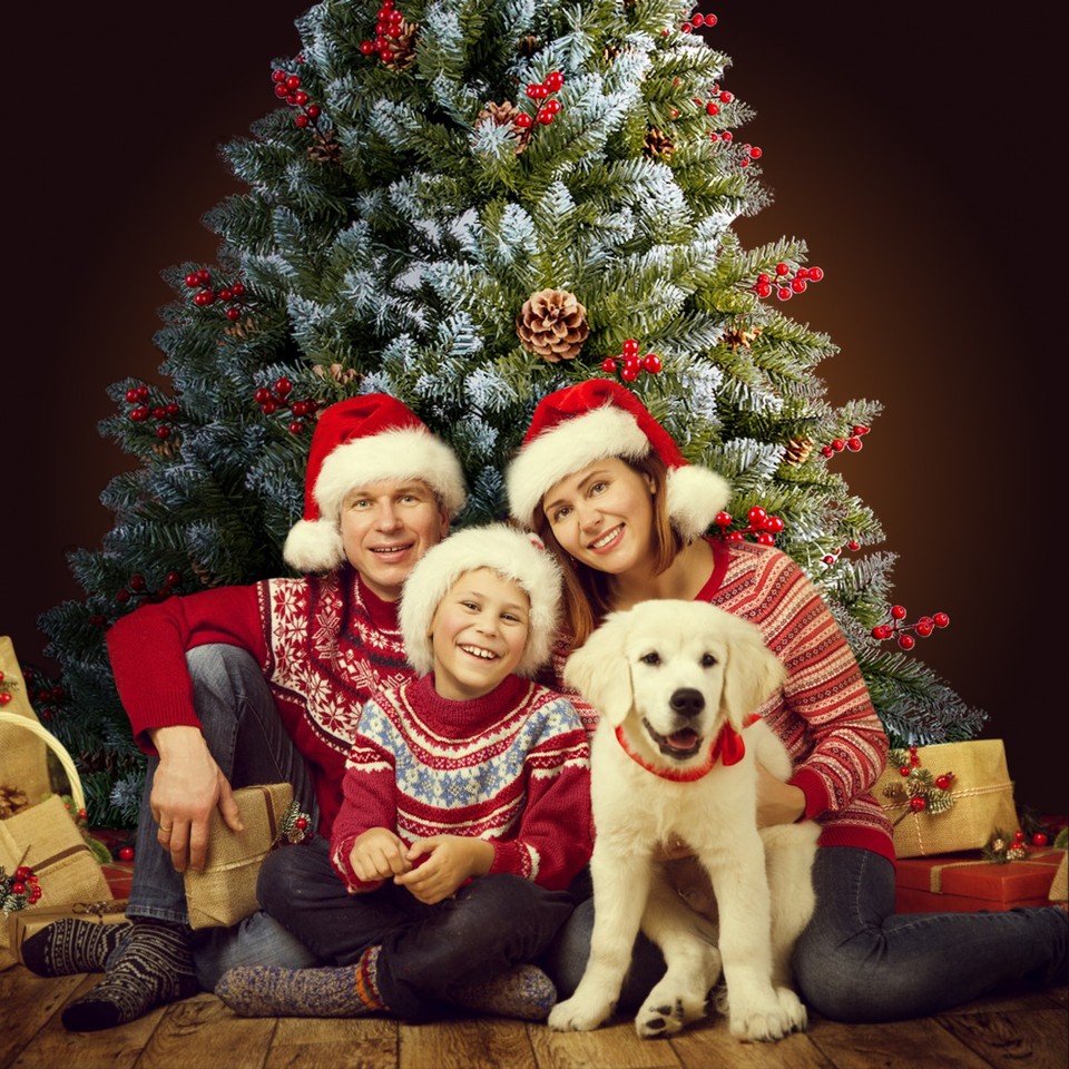 6ft White Artificial Christmas Tree W/Pine Cones Berries,720 Tips, Easy ...