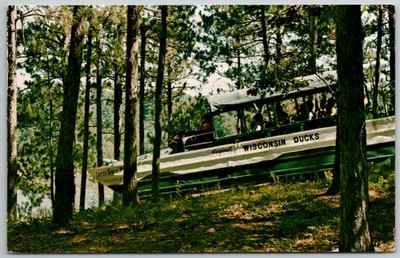 c1979 Postcard Duck Vehicle Suicide Hill Wisconsin Dells Wisconsin WI ...