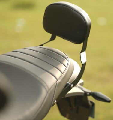 Pillion Backrest Fit for TRIUMPH SPEED 400 | eBay UK