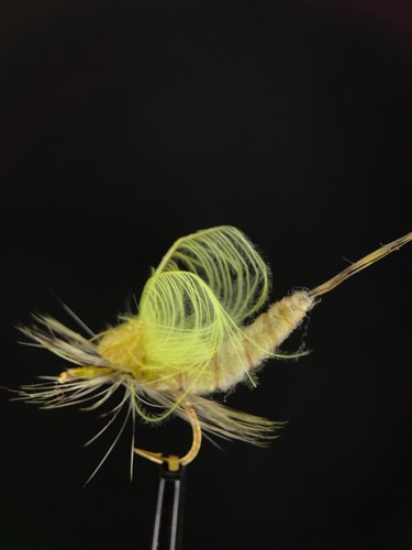 Realistic mayfly Drake fly set 5 pcs size 10 with the box | eBay