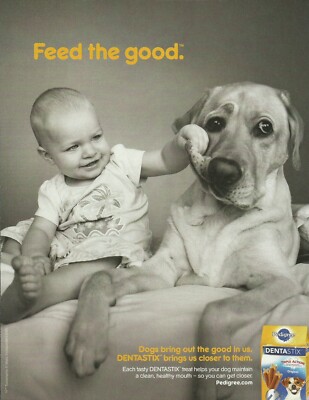 2016 Pedigree Pet Dog Food Dentastix Funny Baby Feed The Good PRINT AD ...