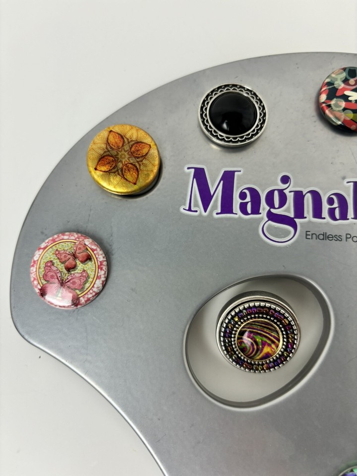 Magnabilities Jewelry Pin 13 Interchangeable Magnetic Inserts Nurses ...