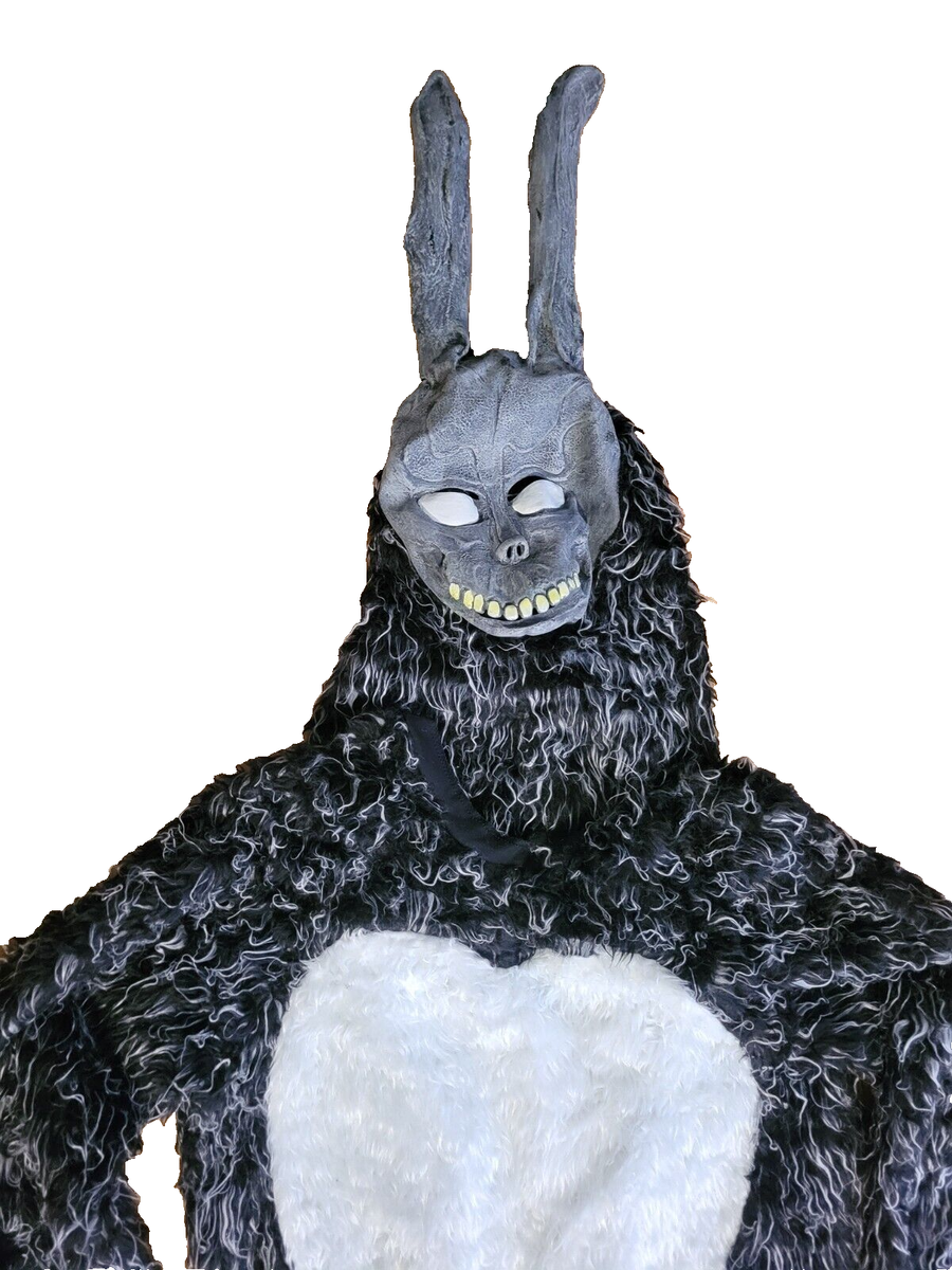 Frank The Bunny Rabbit