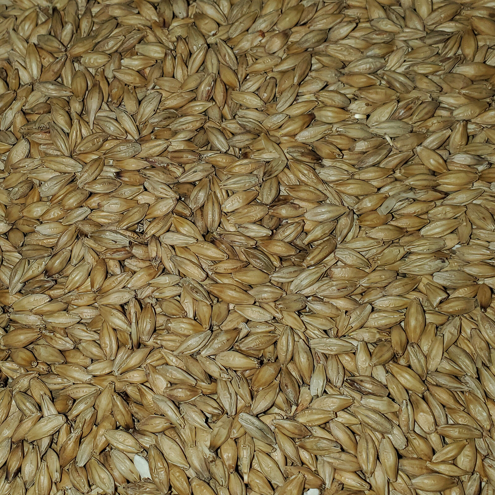 Rahr 2-Row Malt 10 lb fro Home Brew Beer Making | eBay