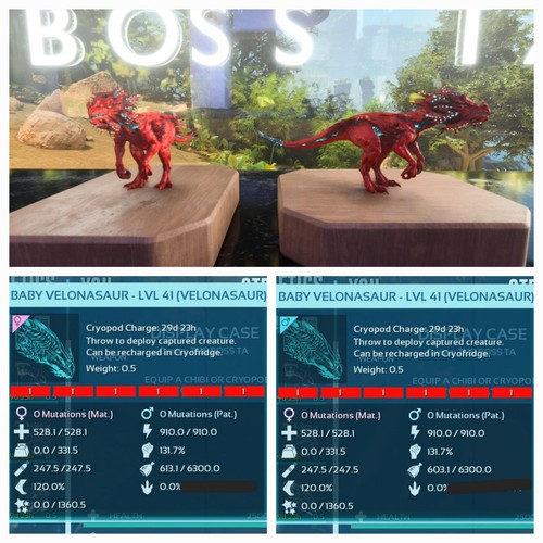 ARK ASA PVE OFFICIAL PAIR BABY VELONASAUR RED ID01 EXTINCTION PC/XBOX ...