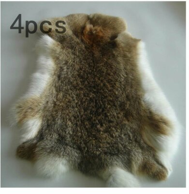 4PCS/set Natural Rabbit Skin Real Fur Pelt for Animal Training Crafts ...