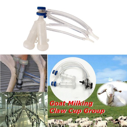 Goat Milking Cluster Group with Milk Claw for Milking Machine Parts M08 ...