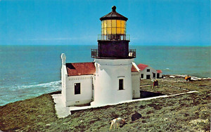 CyperusPapyrus | eBay Stores