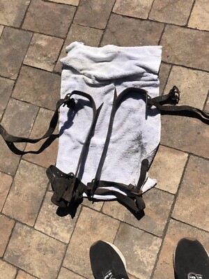 Buckingham 16M Tree Climbing Spikes Used | eBay