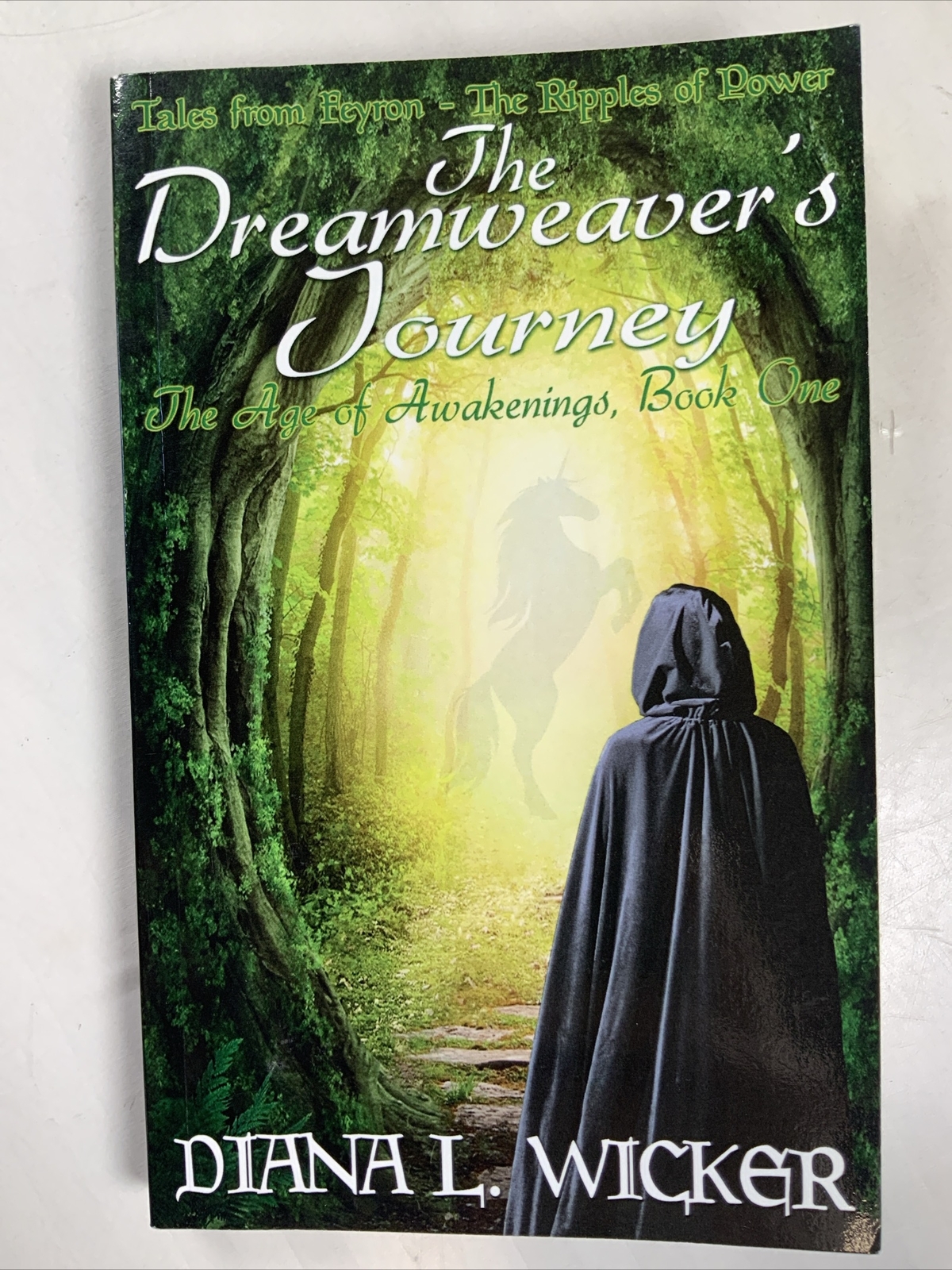Flat Signed The Dreamweaver's Journey: Book 1 By Diana Wicker 2023 TPB ...