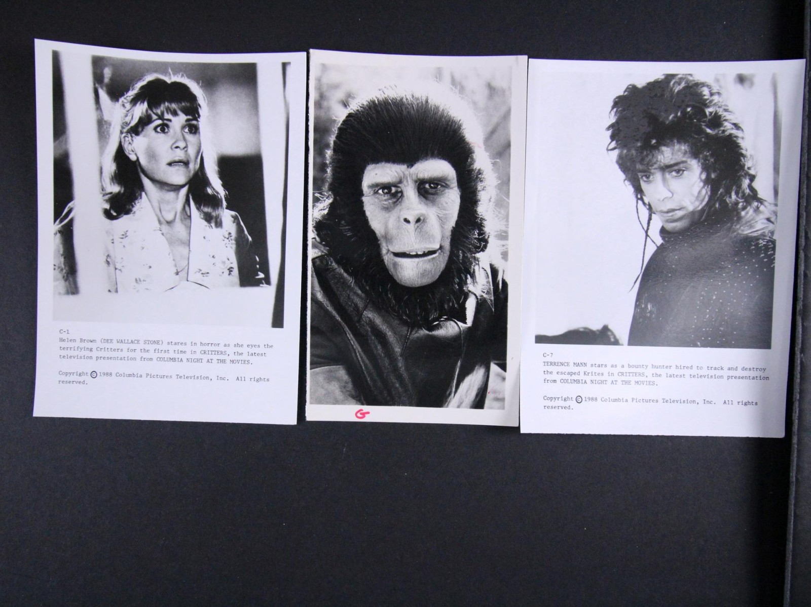LOT: Ten 1970s-1980s TYPE 1/VINTAGE HORROR THEMED 5 x 7 PHOTOS/BOOKLET ...