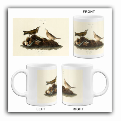Brown Lark - 1827 - Illustration Mug | eBay