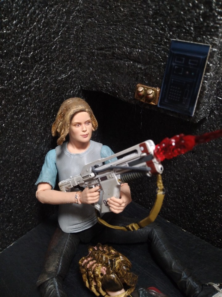 NECA* CUSTOM * DIORAMA *ALIEN ROMULUS SCORCHED XENOMORPH + ACCESSORY ...