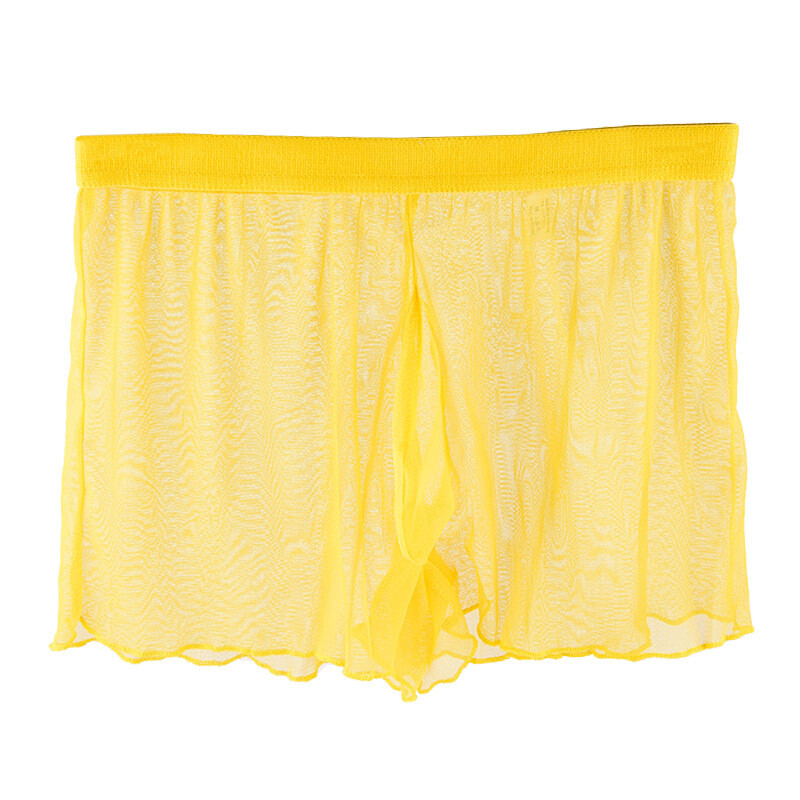 Men Sheer Mesh Briefs Boxers Underpants Underwear See Through Sexy ...