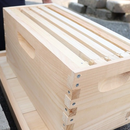 5 Frame Deep Nuc Assembled Beekeeping Box, Plastic Foundation Frames ...