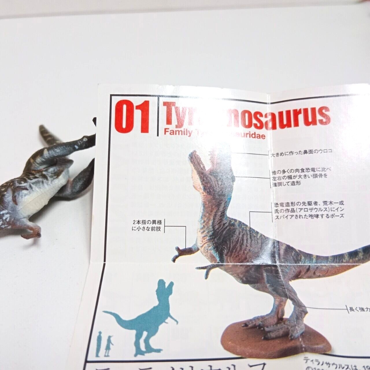 Kaiyodo Dinotales Choco Dinosaur Tyrannosaurus Rex Prehistoric ...