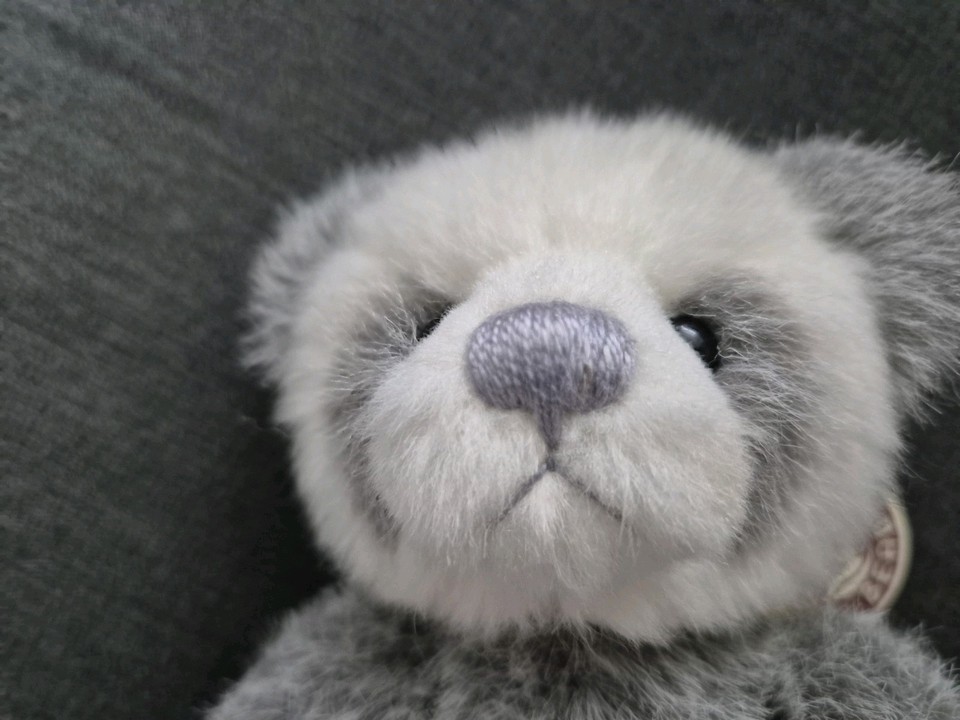 Charlie Bears "Bronte" 2007 From The Secret Collection With Tag’s ...