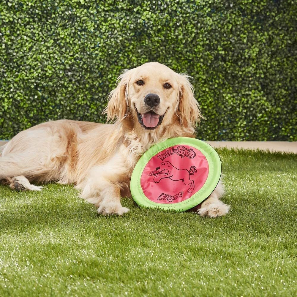 Aspen Booda Soft Bite Floppy Disc Gentle Dog Fetch Toy Flyer Frisbee 10 ...