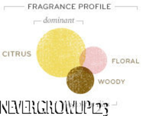 THYMES ESSENTIALS EXFOLIATING HAND SCRUB~4 OZ~NEW~NO BOX | eBay