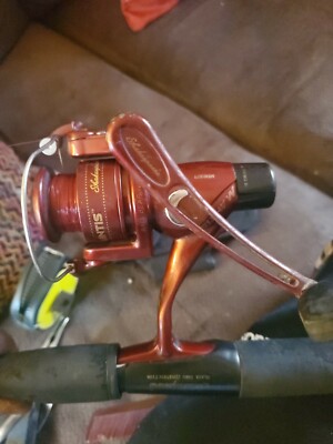 Spinning - Shakespeare Mantis