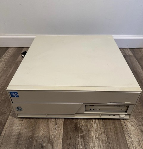 IBM PS/1 Consultant 486 DOS Windows Gaming PC 3.5 5.25 Floppy Sound ...