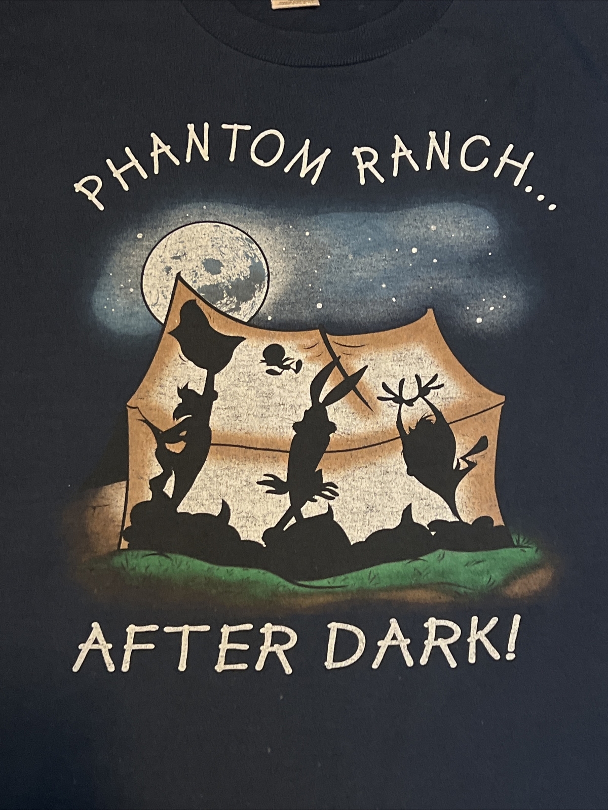 Rare Vintage Looney Tunes Phantom Ranch Shirt 90s 199… - Gem