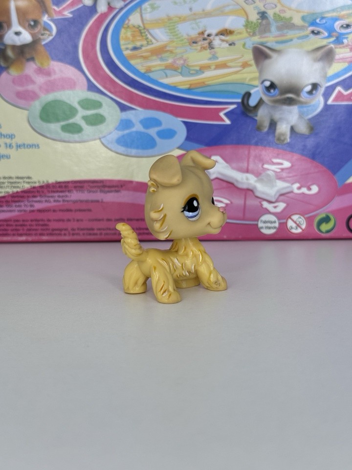 💛 RARE yellow collie – LPS #1194 Petshop - Authentic Littlest Pet Shop ...