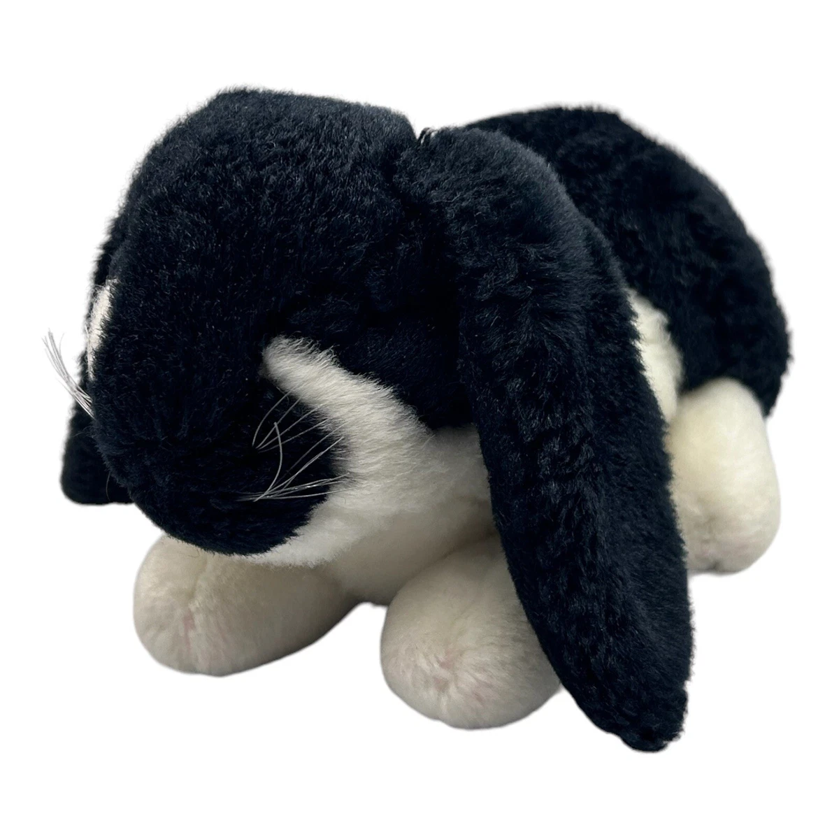 Black And White Lop Eared Rabbit