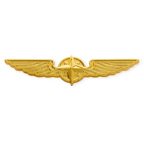 Gold Pilot Wings Aviation Pin Badge by Design4Pilots | eBay