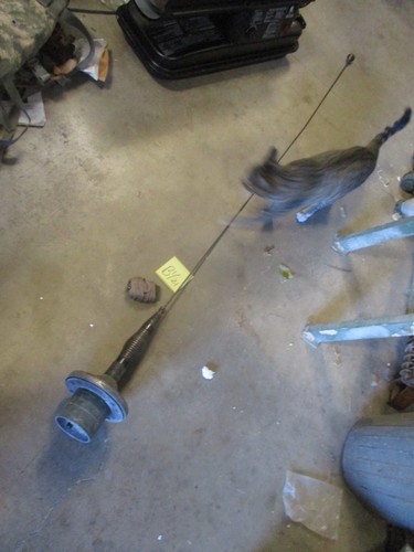 Used Steel Whip Antenna, Spring Base & Tie-Down Rope, Very Flexible ...