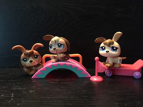 Littlest Pet Shop Petriplets puppy dogs #1338-1339-1340 skateboard ...
