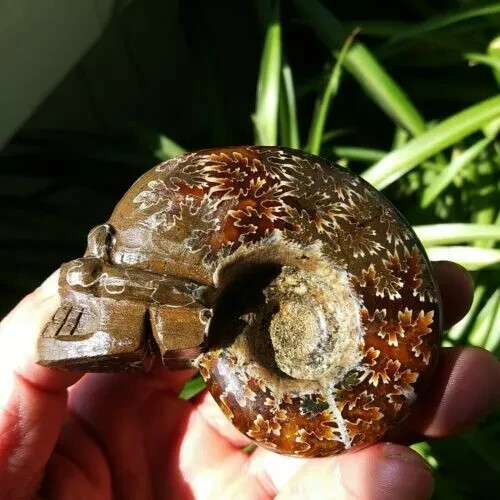 207g Natural Pretty Ammonites Human skull Quartz Crystal Carving Palm ...