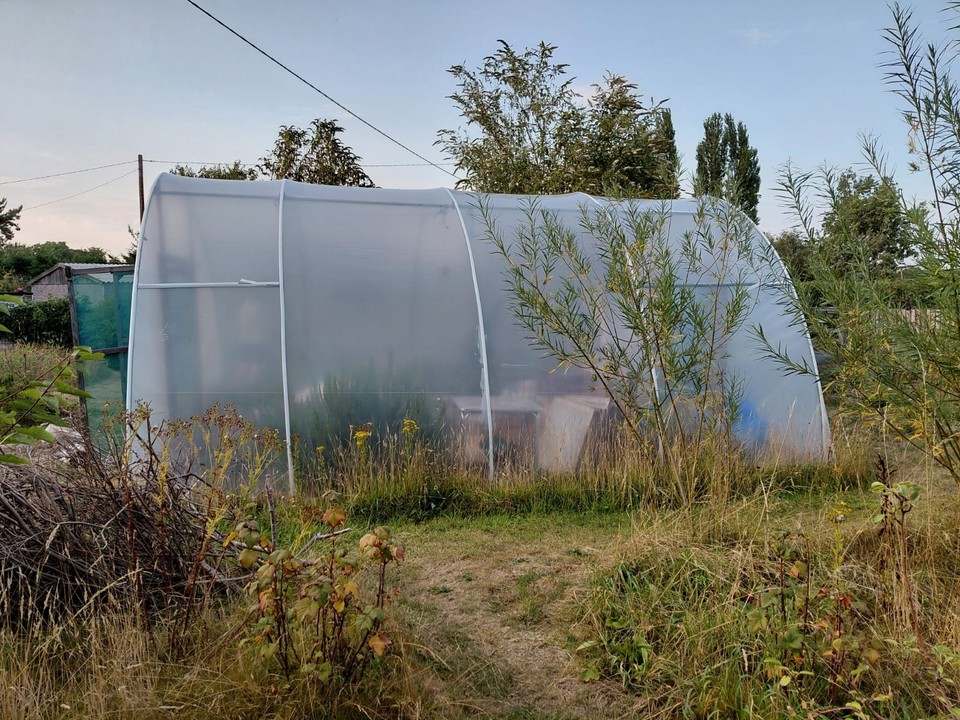 Polytunnel 5.4m X 5.4m Heavy Duty | eBay UK