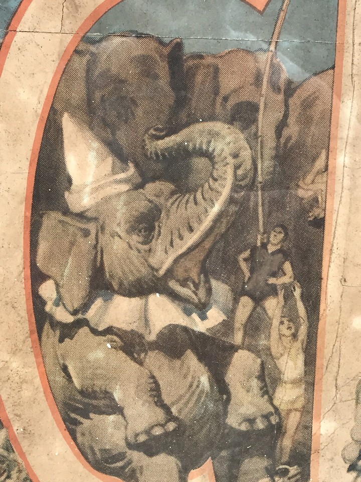 TERRELL JACOBS WILD ANIMAL CIRCUS ANTIQUE COLORED ADVERTISING POSTER | eBay