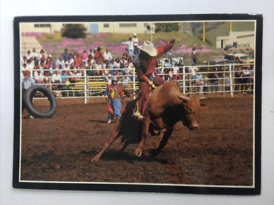 Fine Rodeoing Hello From California’s Coastal Heart Vintage Postcard | eBay
