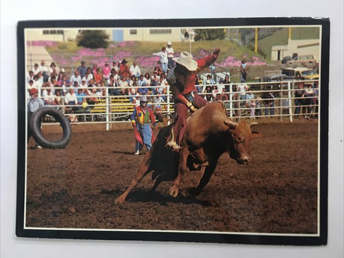 Fine Rodeoing Hello From California’s Coastal Heart Vintage Postcard | eBay