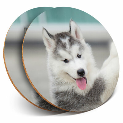 2 x Coasters - Cute Husky Puppy Dog Funny Home Gift #2695 | eBay UK