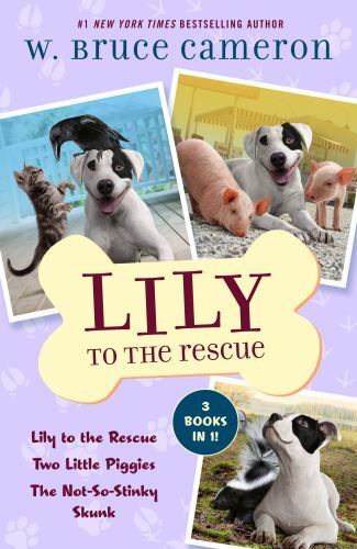 Lily to the Rescue Bind-Up Books 1-3 9781250867650| eBay