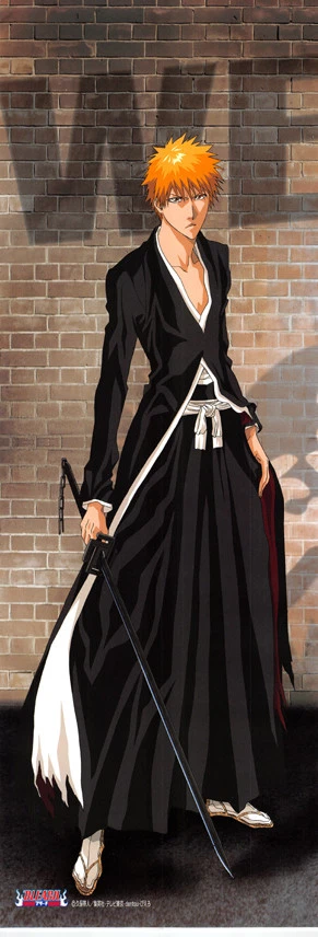 Ichigo Kurosaki Normal Clothes