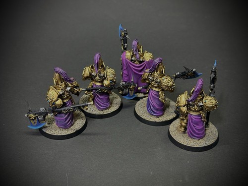 Warhammer 40k Adeptus Custodes Wardens Pro Painted commission listing ...