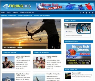 Fishing Tips Ready Made Blog Turnkey Niche Website Business for Sale | eBay